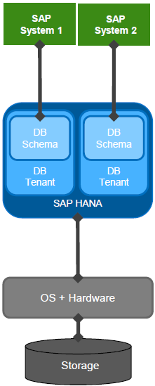 Choosing the right HANA Database Architecture - SAP Community
