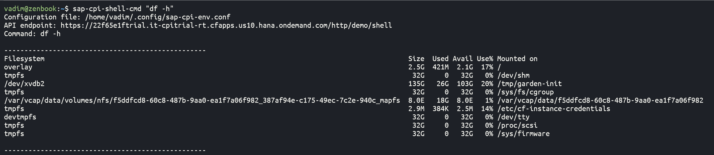 Terminal Access to CPI Runtime: Execution of Shell... - SAP Community