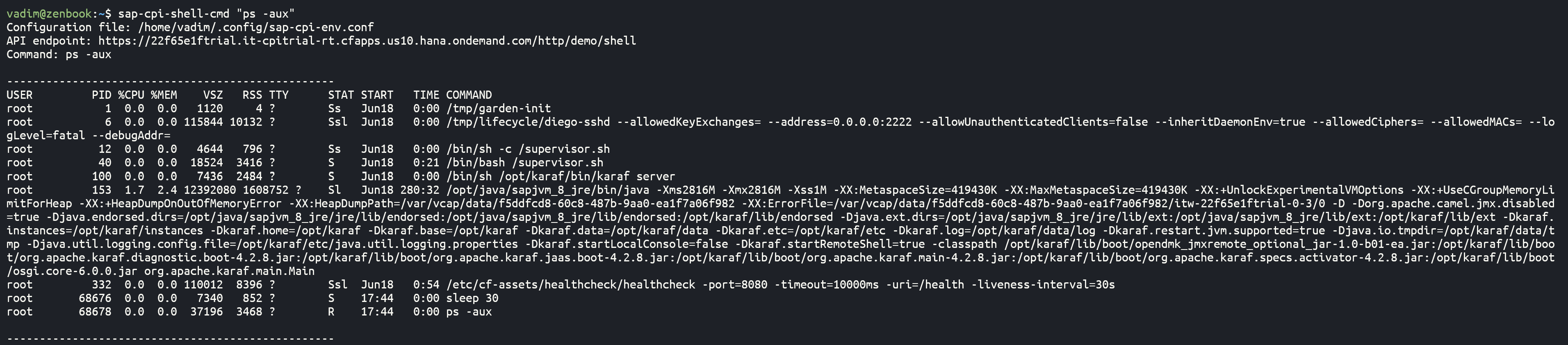 Terminal Access to CPI Runtime: Execution of Shell... - SAP Community