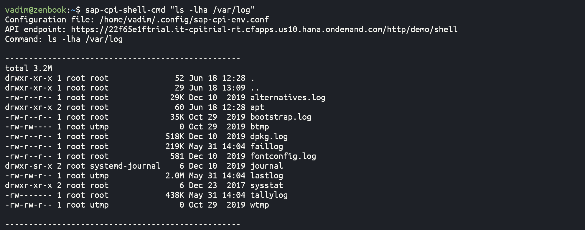 Terminal Access to CPI Runtime: Execution of Shell... - SAP Community