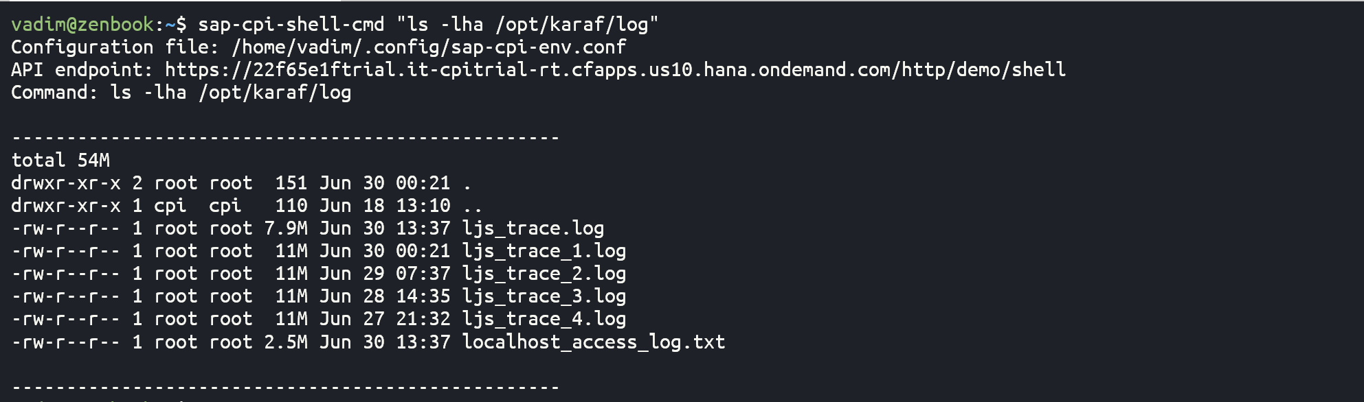 Terminal Access to CPI Runtime: Execution of Shell... - SAP Community