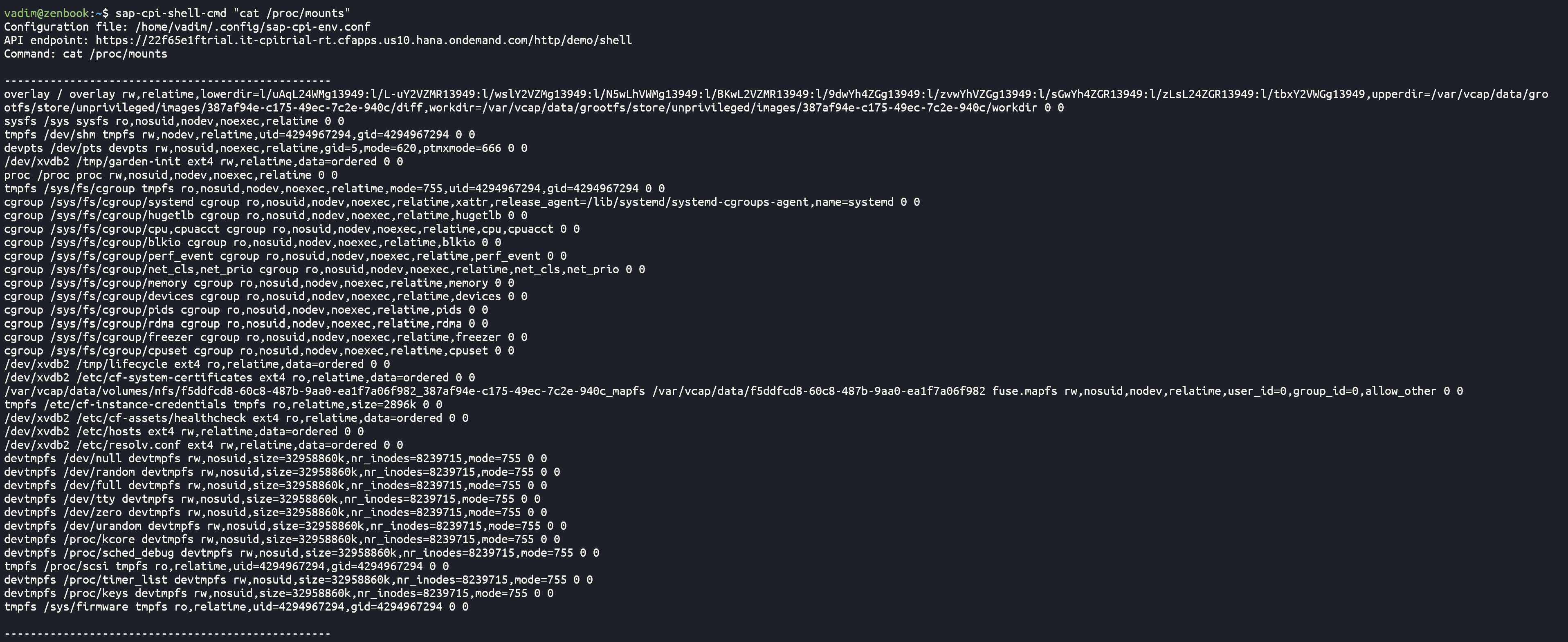 Terminal Access to CPI Runtime: Execution of Shell... - SAP Community