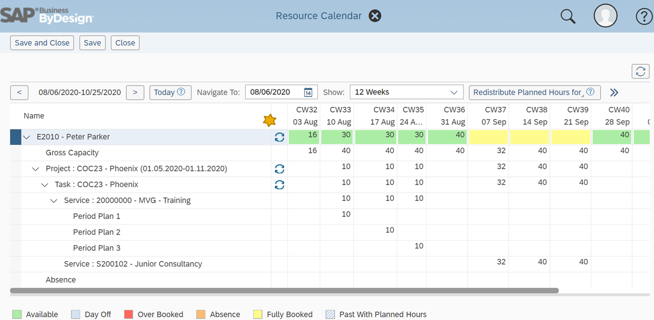 Resource Management in Business ByDesign: Project ... - SAP Community